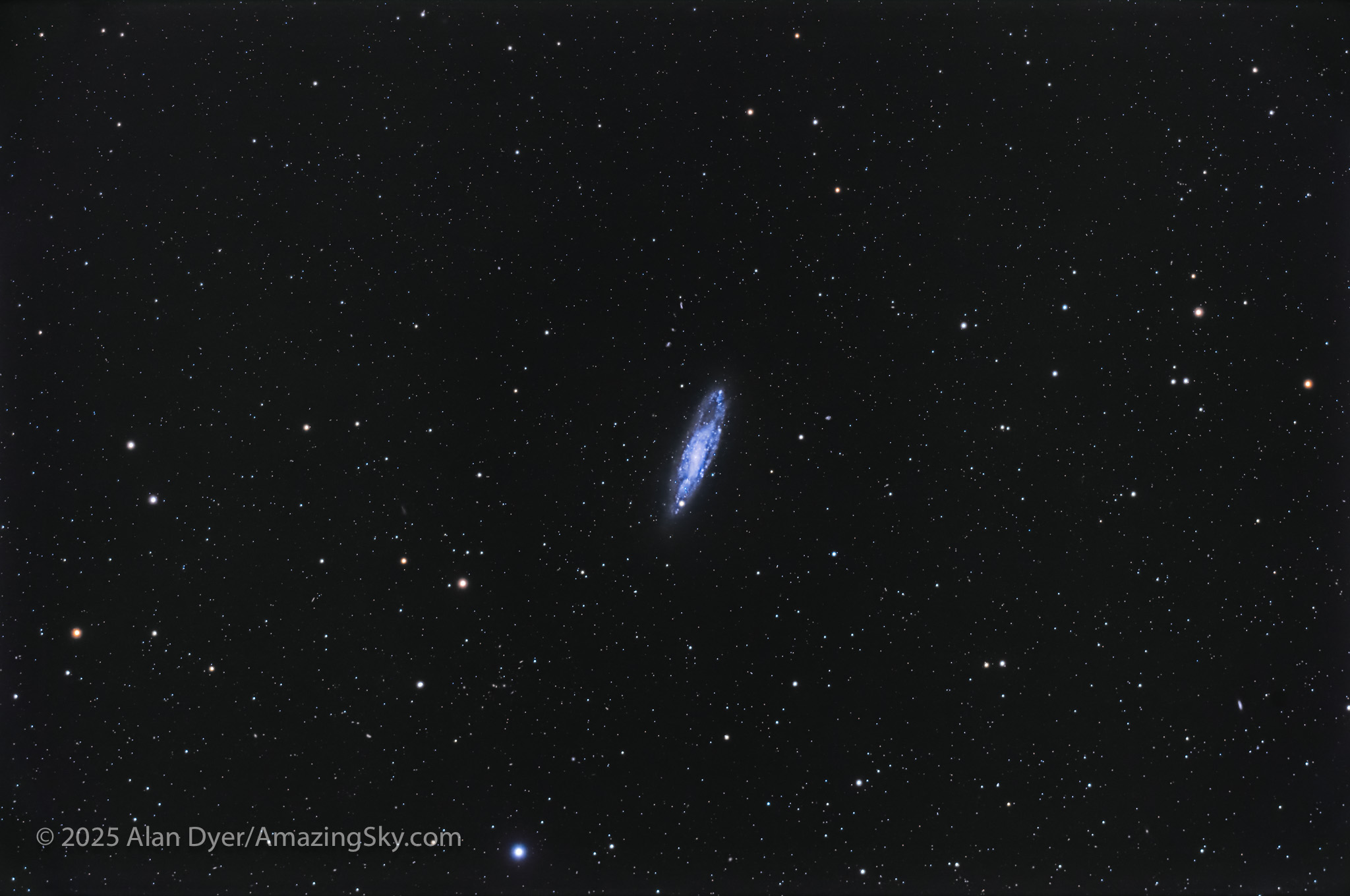 NGC 247, the “Dusty Spiral” Galaxy in Cetus – BackyardAstronomy.com